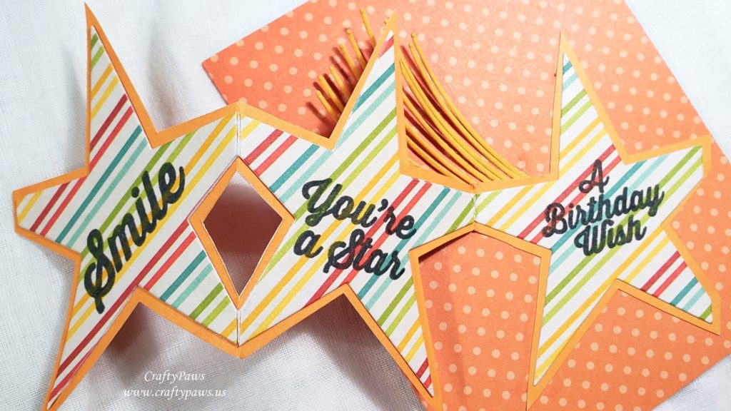 You’re a Star Birthday Card | CraftyPaws